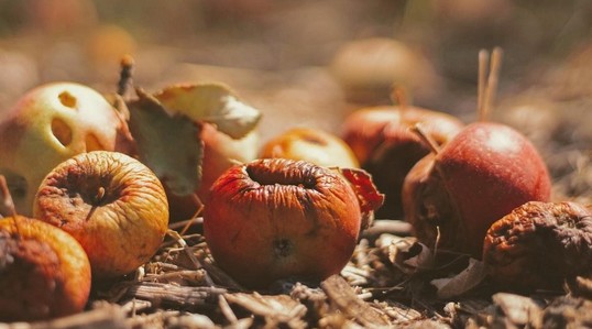 A Closer Look At Zero Food Waste & How To Achieve It